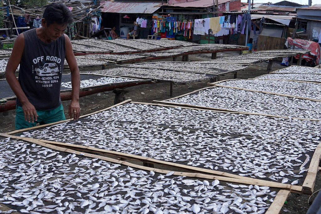 Agriculture posts surprise Q1 growth | Metrobank Wealth Insights