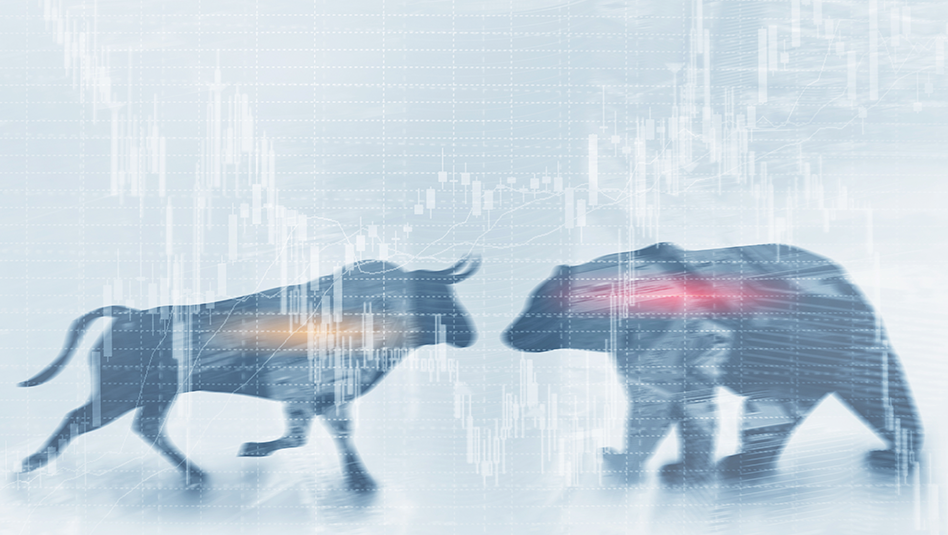 Stock Market 101: Bull and Bear | Metrobank Wealth Insights