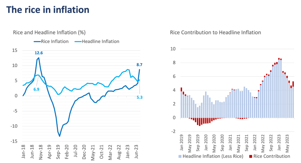 Examining Rice’s Price Inflation | Metrobank Wealth Insights