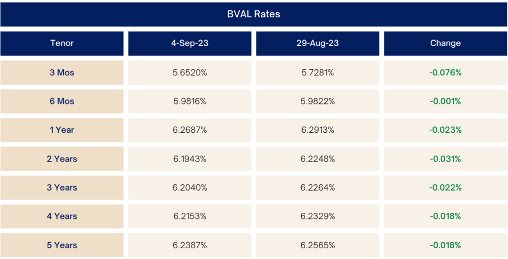 Peso GS Weekly: Prospects amid higher inflation | Metrobank Wealth Insights