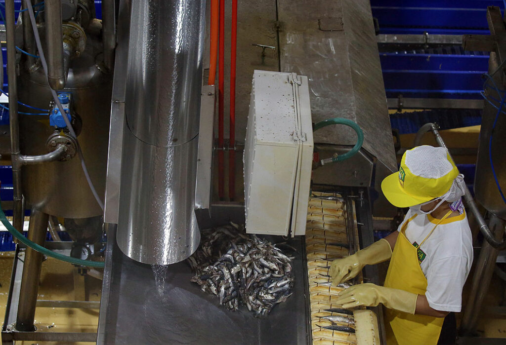 PH manufacturing activity expands in November | Metrobank Wealth Insights